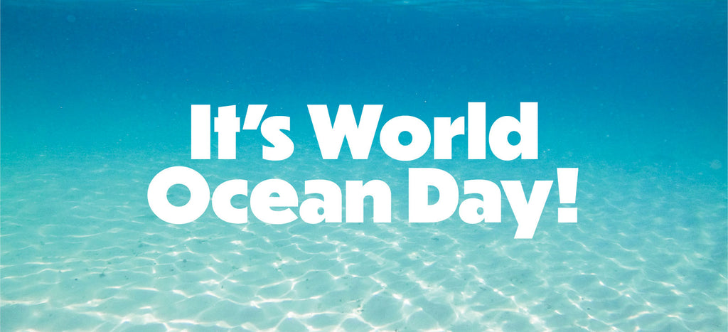 World Ocean Day: What it is, and how you can celebrate – ZenWTR